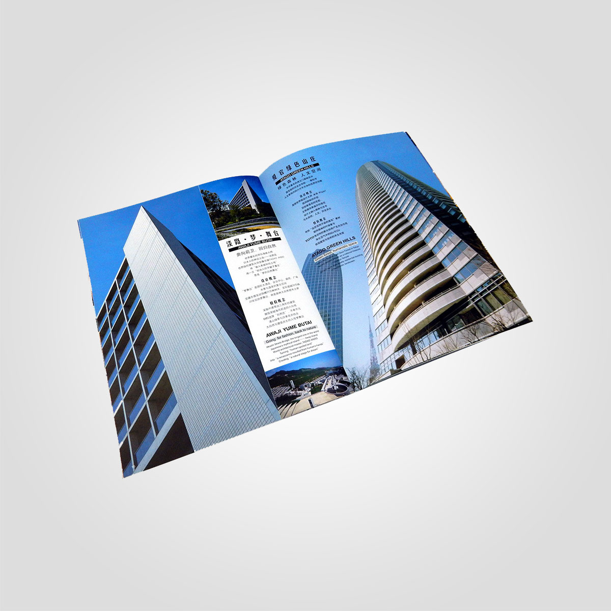 Custom Cheap Brochure Printing UK Dodo Packaging