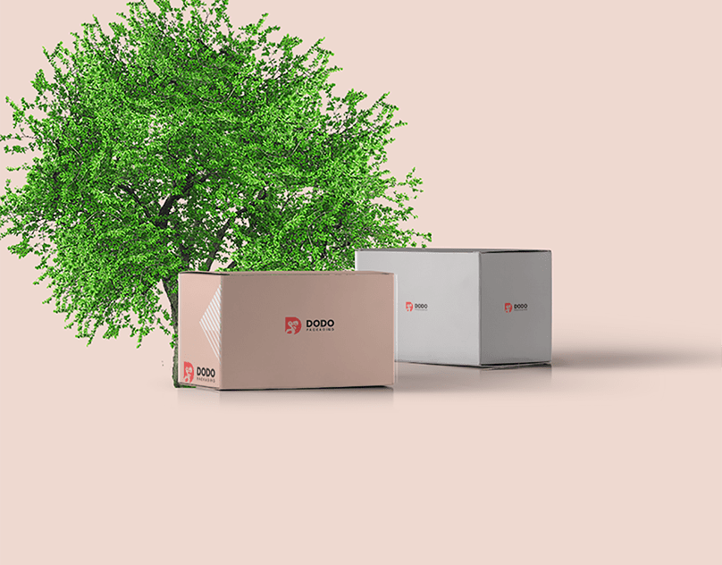 Dodo Packaging Gives The Best Eco-Friendly Boxes To Reduce Waste!